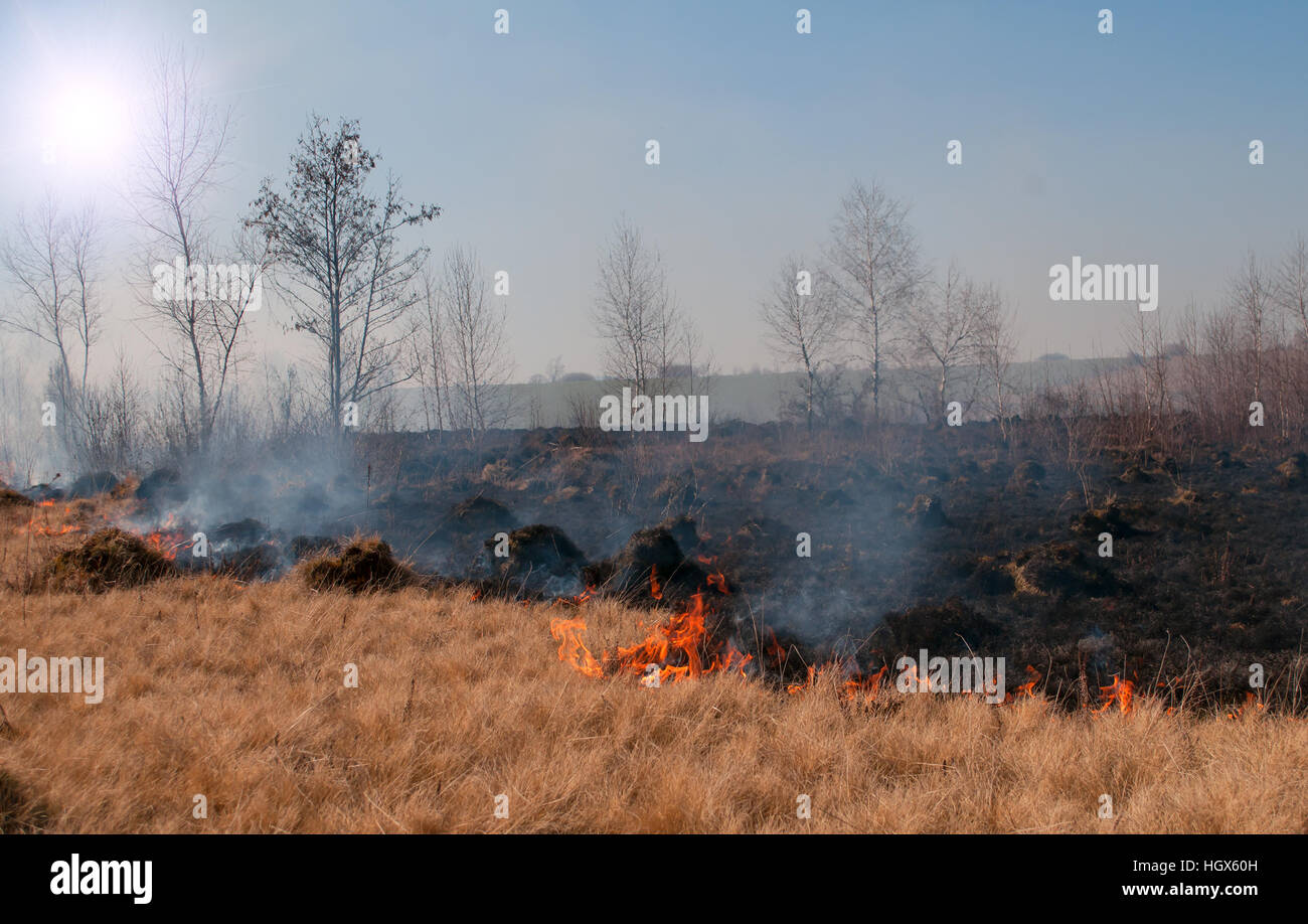 fire on spring field Stock Photo - Alamy