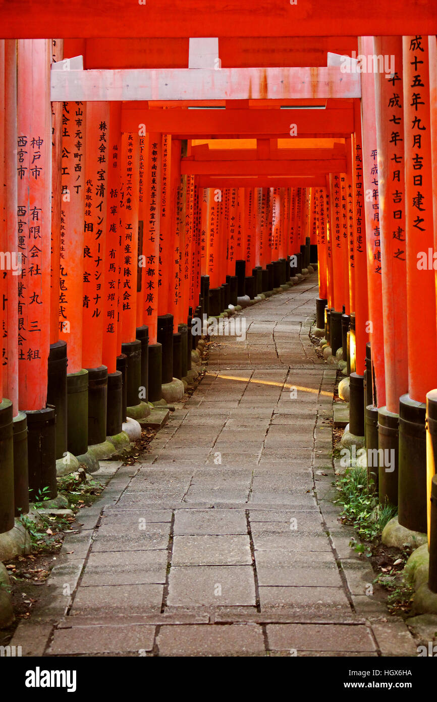 Stone torii gates hi-res stock photography and images - Alamy