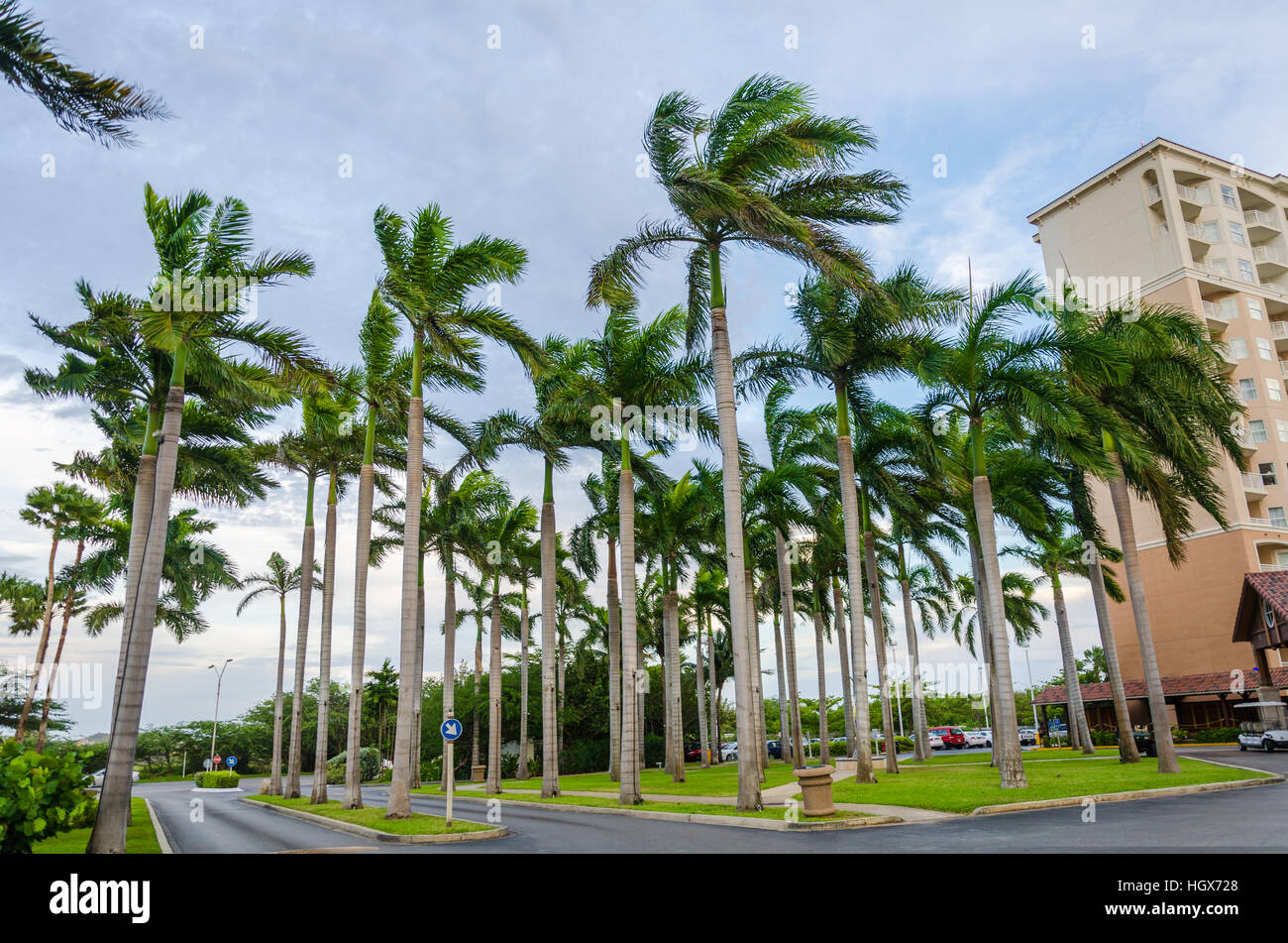 Accommodation walkway pathway resort High Resolution Stock Photography ...