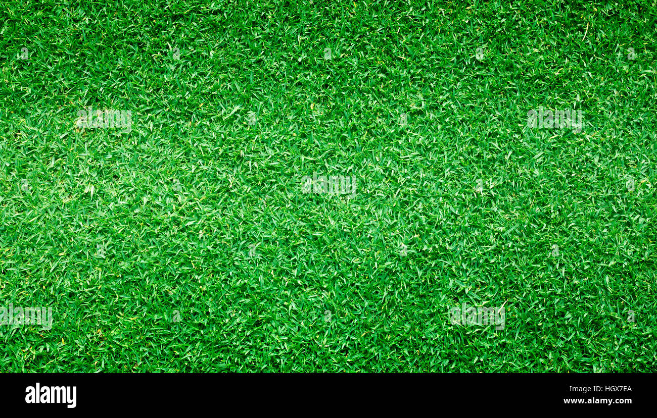 Green grass background turf grass surface abstract Stock Photo - Alamy