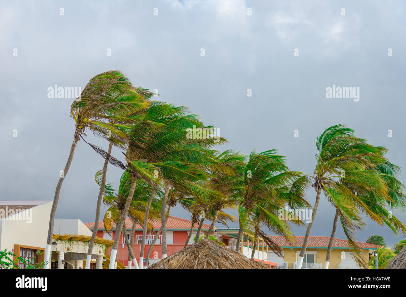 Accommodation walkway pathway resort High Resolution Stock Photography ...
