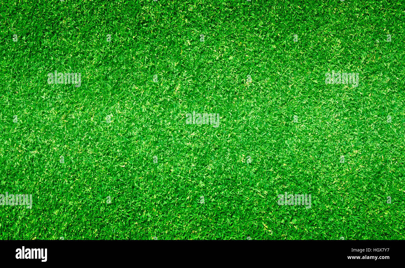 Grass field / Green grass background lawn background Stock Photo - Alamy