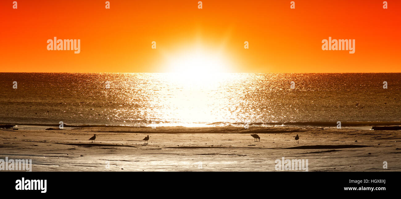 beautiful sunset over the ocean Stock Photo - Alamy