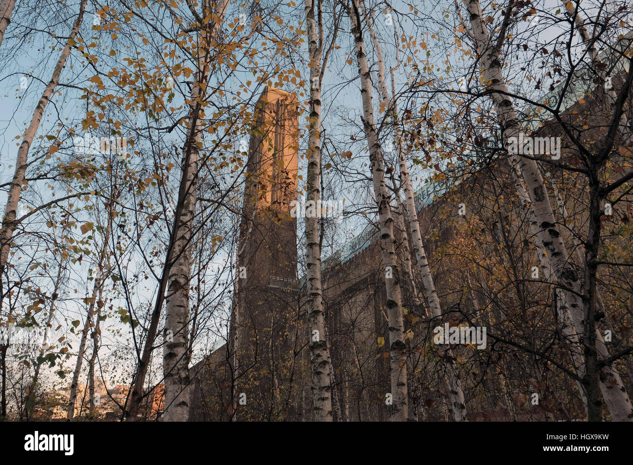 The Tate Modern Gallery and Silver Birch Trees on the Southbank in ...