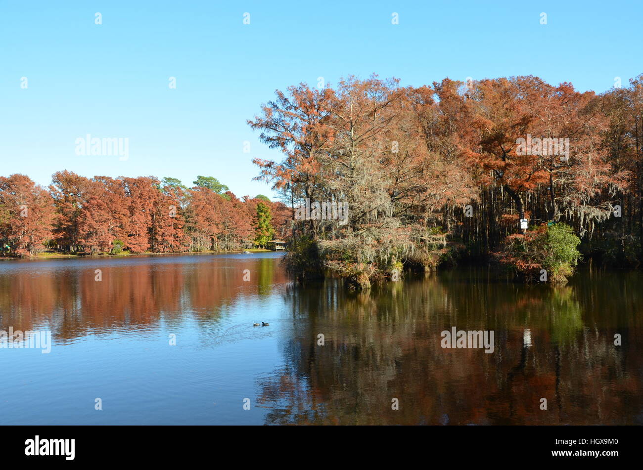 Fall scene along Greenfield Lake in Wilmington North Carolina Stock ...