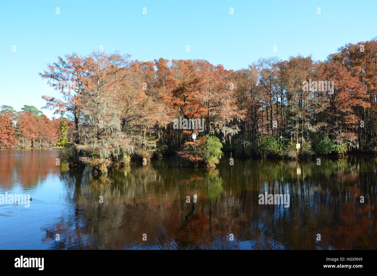 Scene wilmington hi-res stock photography and images - Alamy