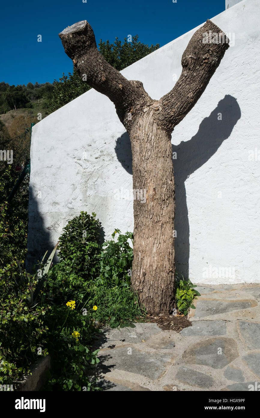 Jubrique hi-res stock photography and images - Alamy