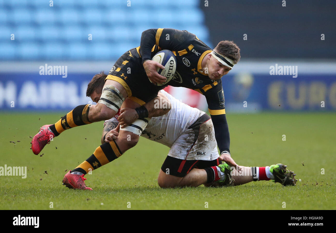 Wasps guy thompson hi-res stock photography and images - Alamy