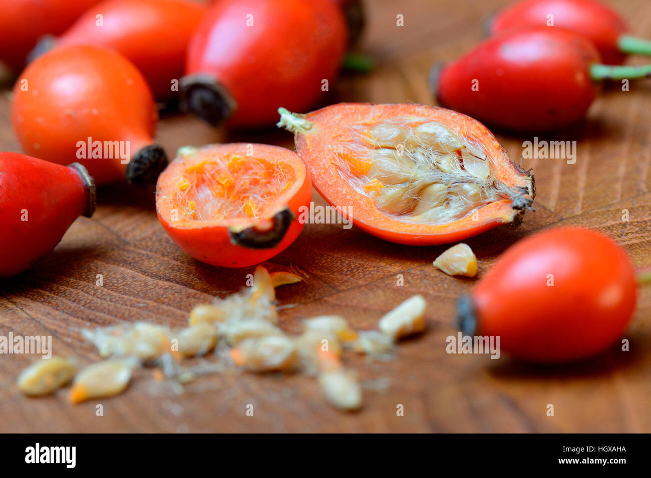 Hagebutten hi-res stock photography and images - Alamy