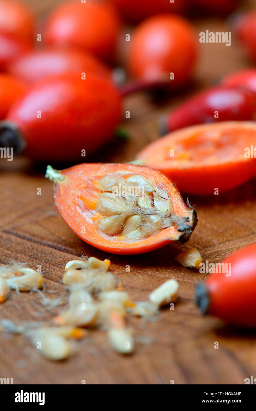 Hagebutten hi-res stock photography and images - Alamy