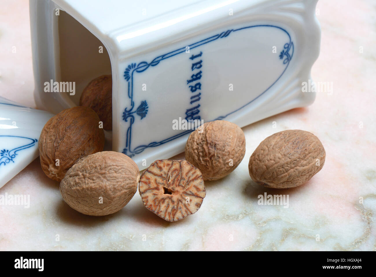 Muskatnuesse, Myristica fragrans Stock Photo - Alamy