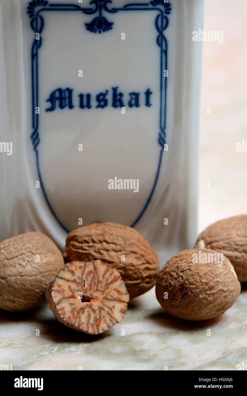 Muskatnuesse, Myristica fragrans Stock Photo - Alamy