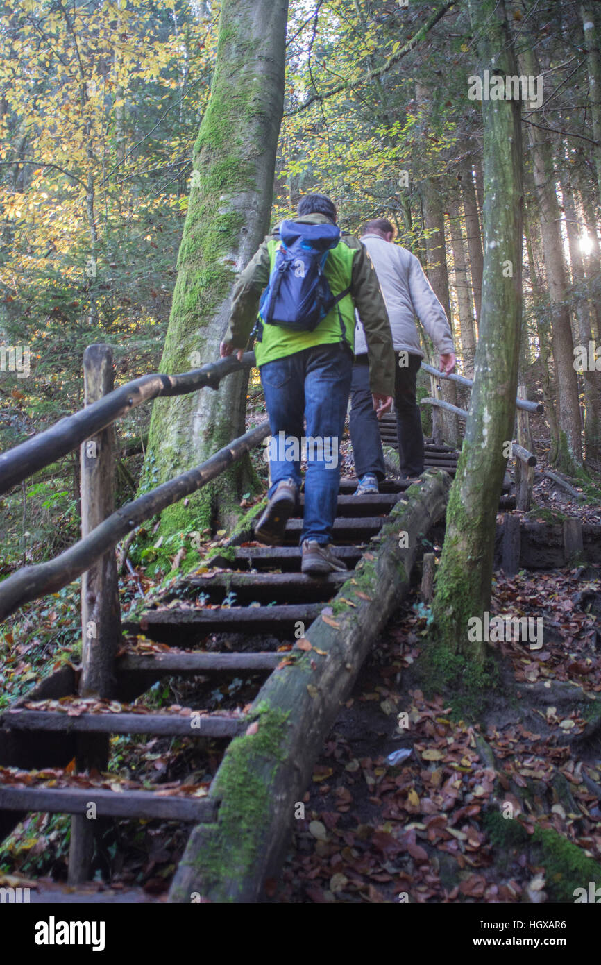 Horschbach Gorge, Murrhardt, Rems-Murr Region, Baden-Wuerttemberg ...