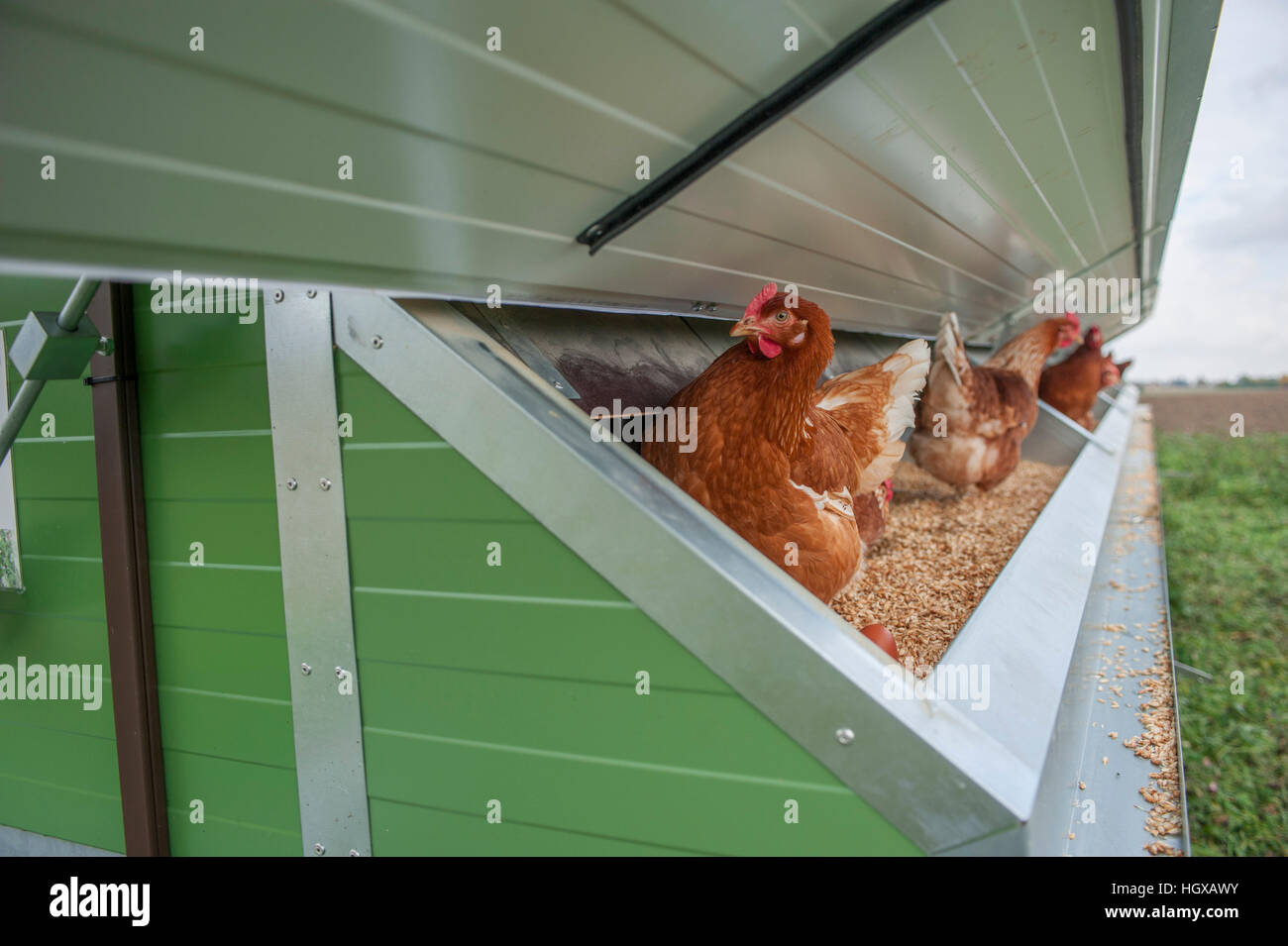 Mobile chicken house hi-res stock photography and images - Alamy