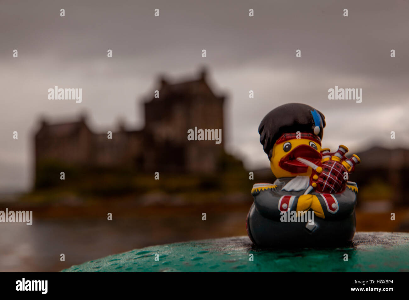 Rubber Duck, Eilean Donan Castle, West Coast, Scotland, UK Stock Photo ...