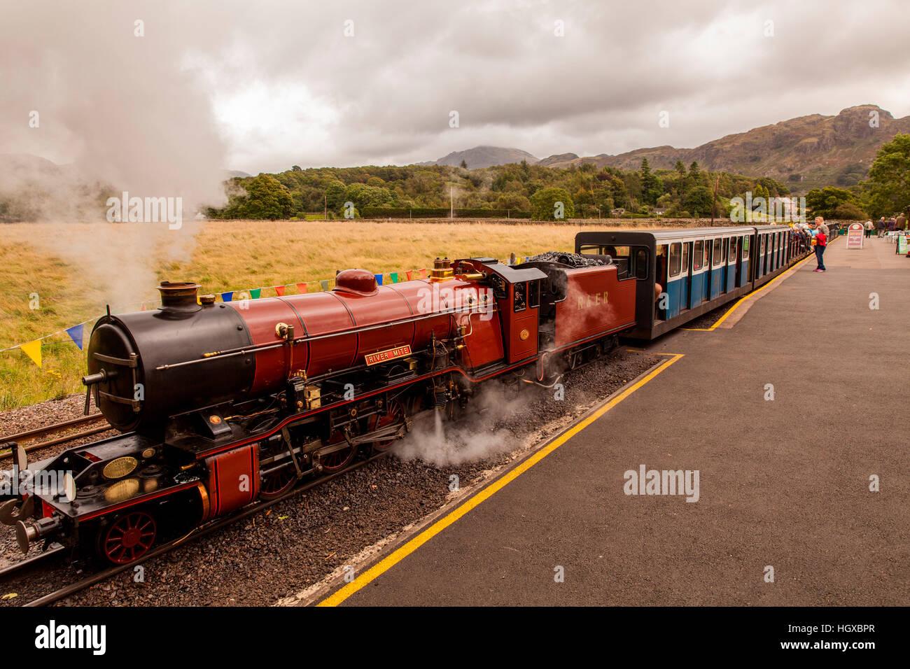 Ravenglass Railway, Lake District, Cumbria, UK Stock Photo - Alamy