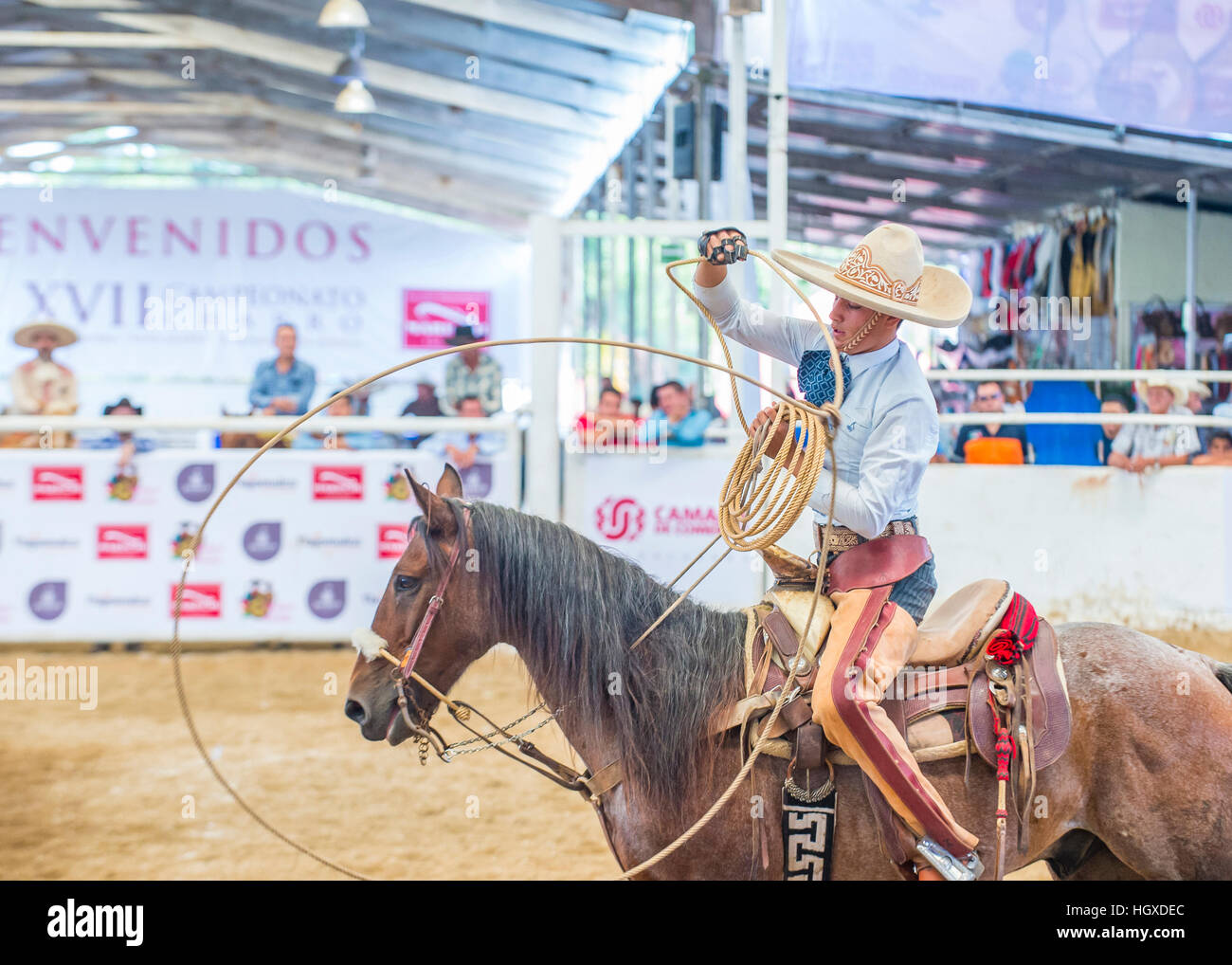 GUADALAJARA , MEXICO - SEP 01 : Charro Participates in a bull riding ...