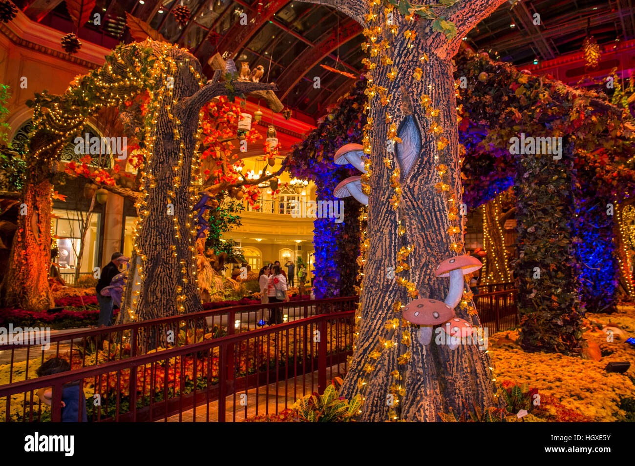LAS VEGAS - NOV 08 : Fall season in Bellagio Hotel Conservatory ...