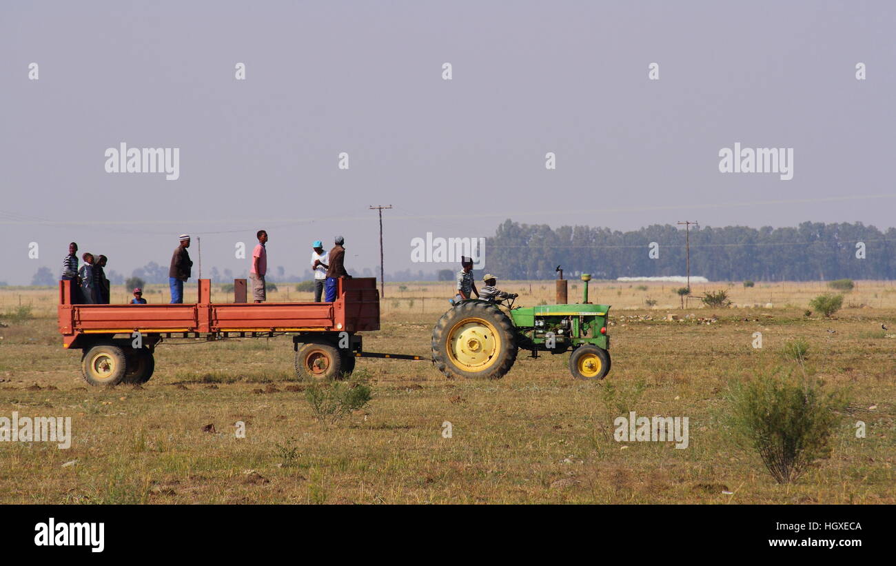 Farm worker transported by tractor on a working farm in rural South ...