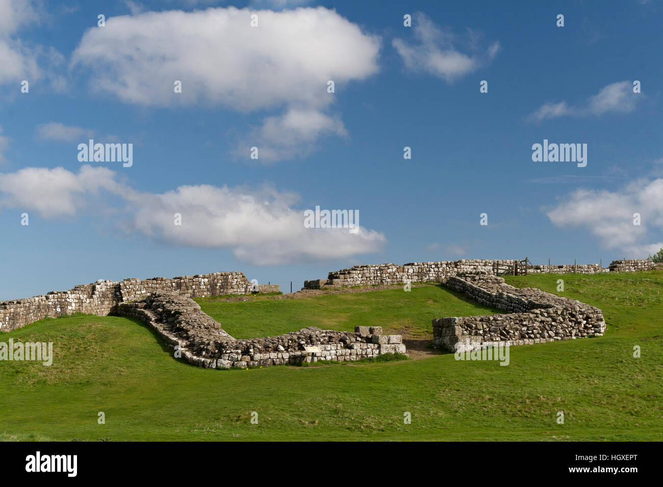Hadrian's Wall: Milecastle 42 at Cawfield Stock Photo - Alamy