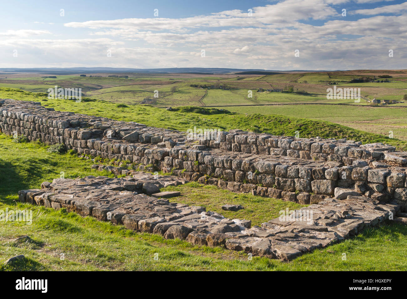 Hadrian's Wall: Turret 41A near Caw Gap, looking north-west Stock Photo ...