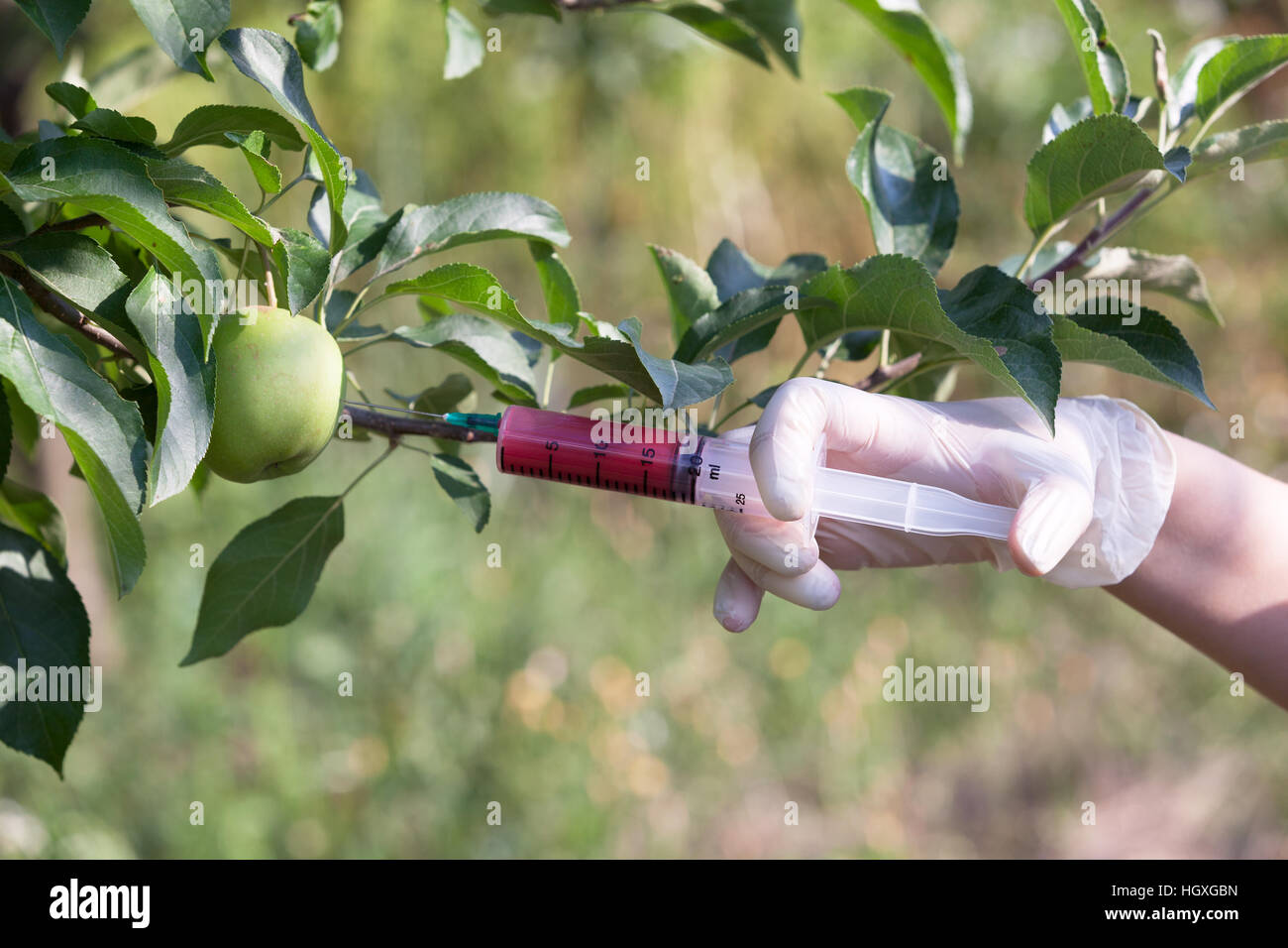 Injection fruit hi-res stock photography and images - Alamy