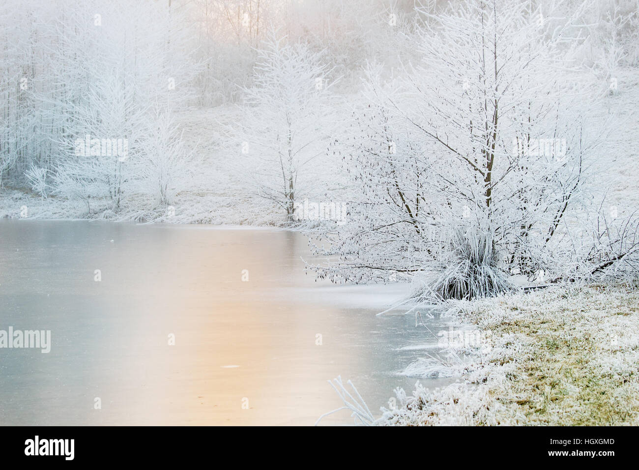 Frozen trees and lake Stock Photo - Alamy