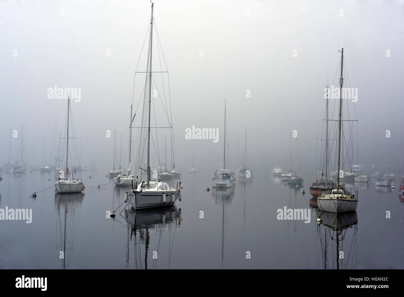 Thich winter fog hi-res stock photography and images - Alamy