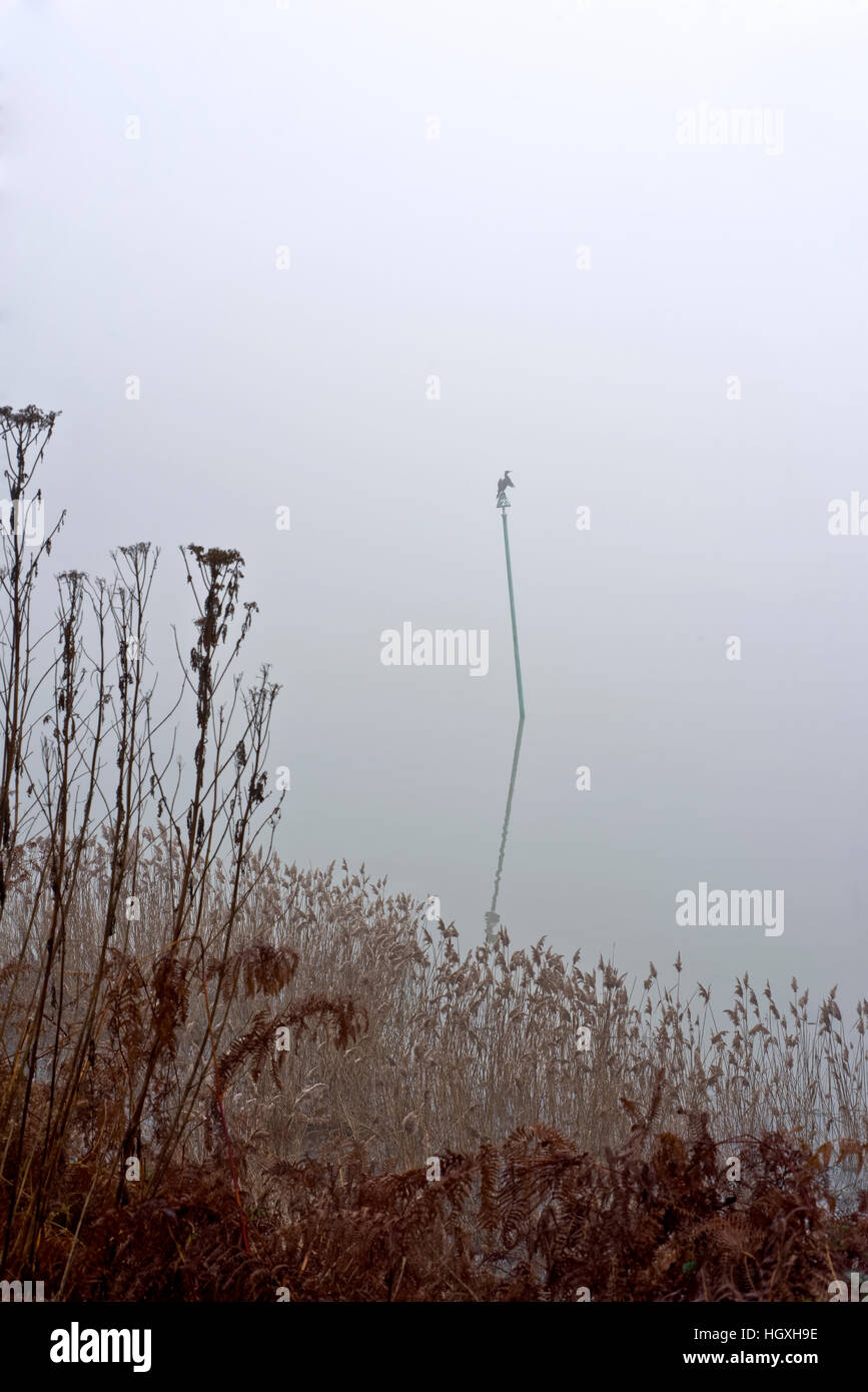 starboard navigation pole in thick winter fog at Chatelier Lock Le ...