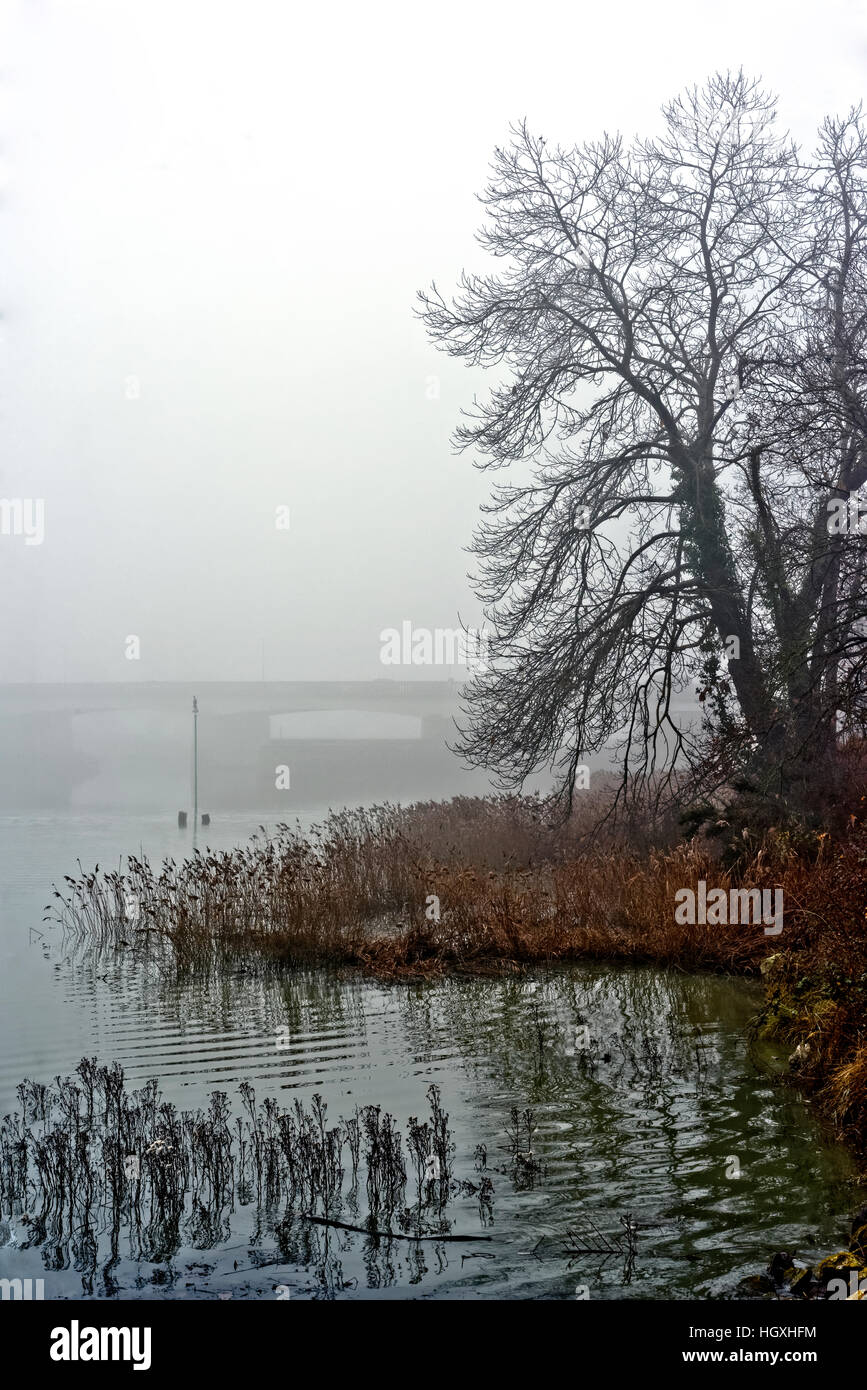 thick winter fog at Chatelier Lock Le Lyvet Rance Valley River Rance ...