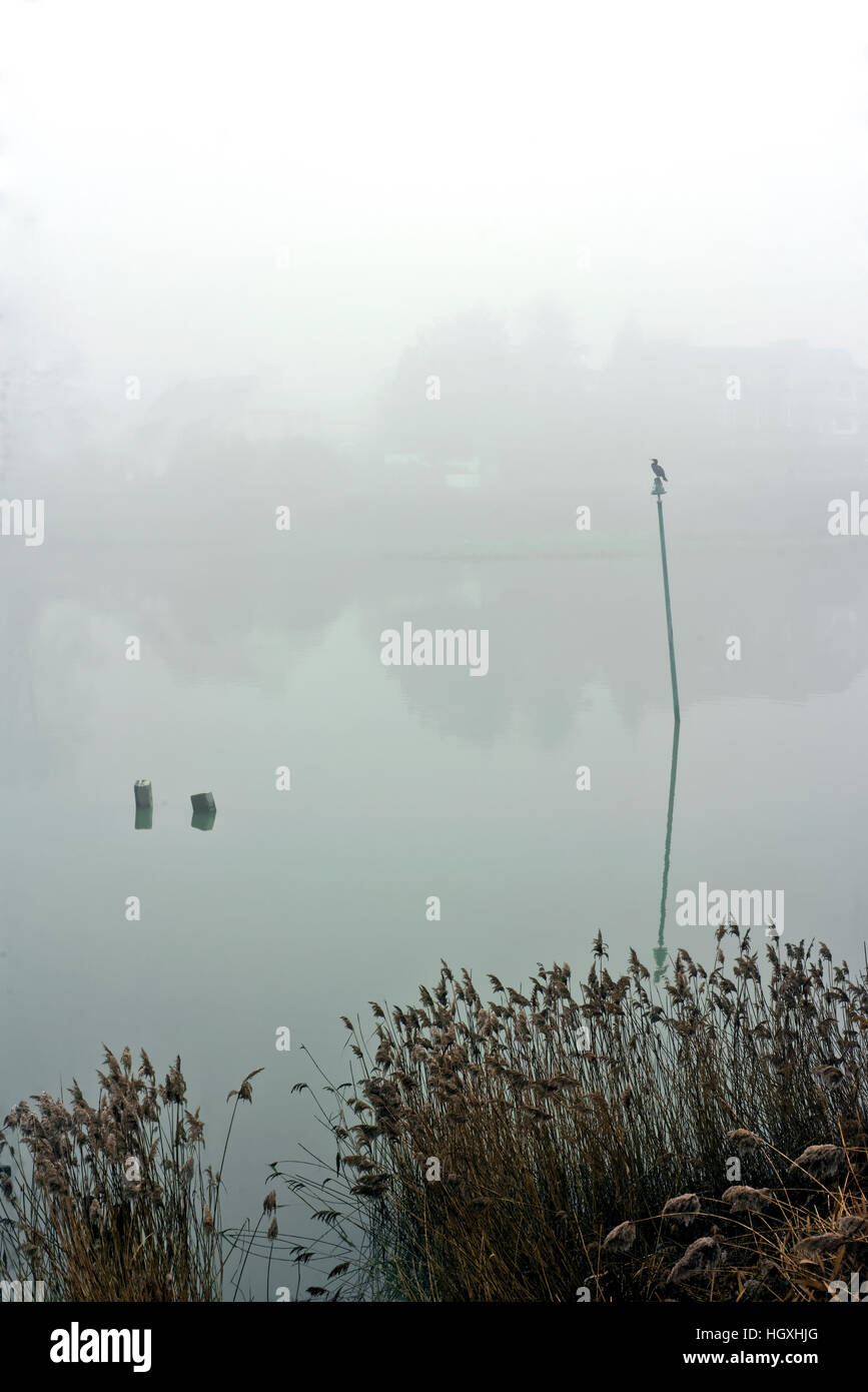 starboard navigation pole in thick winter fog at Chatelier Lock Le ...