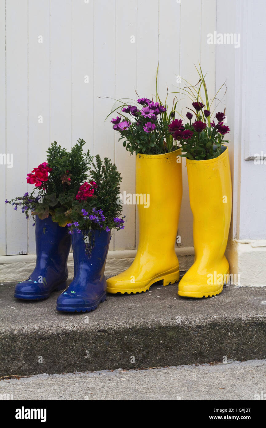 Wellies filled with flowers hi-res stock photography and images - Alamy