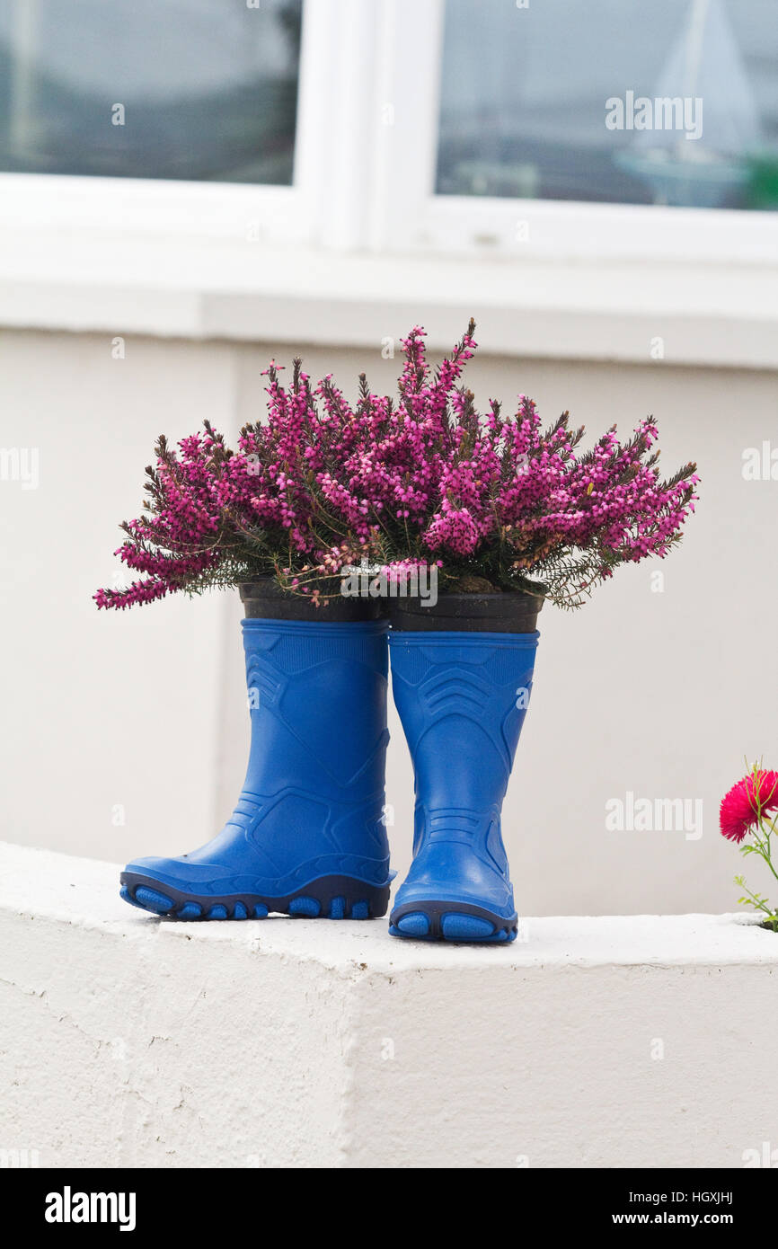 Colourful wellington boots filled with flowers adorn the houses ...