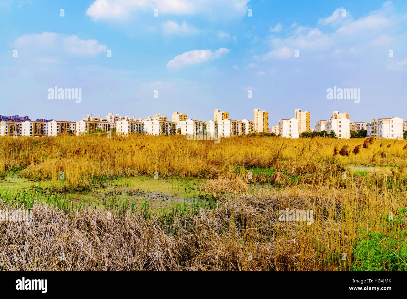 fields with apartment buildings in the background on the outskirts of ...