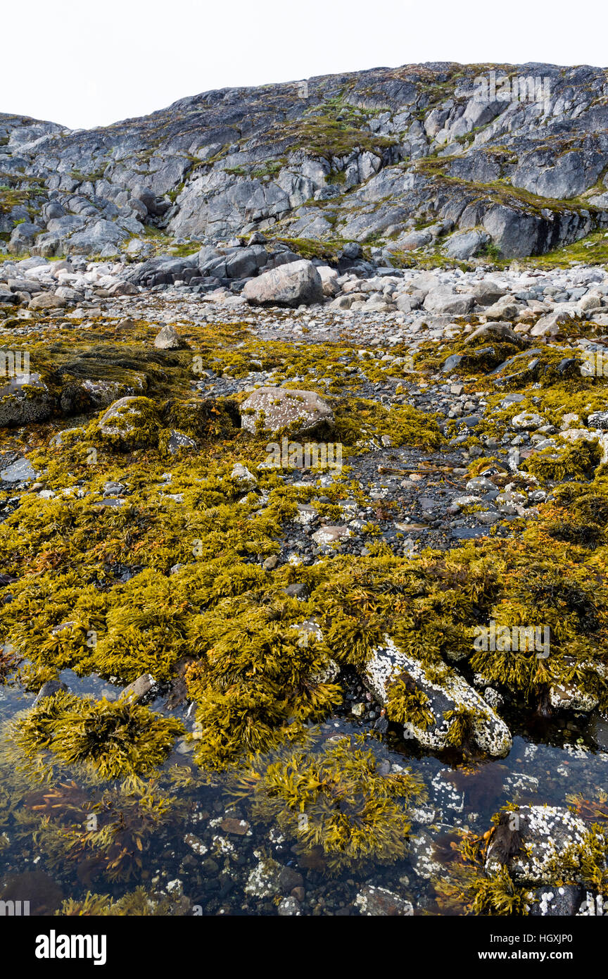 Iodine Pool High Resolution Stock Photography and Images - Alamy