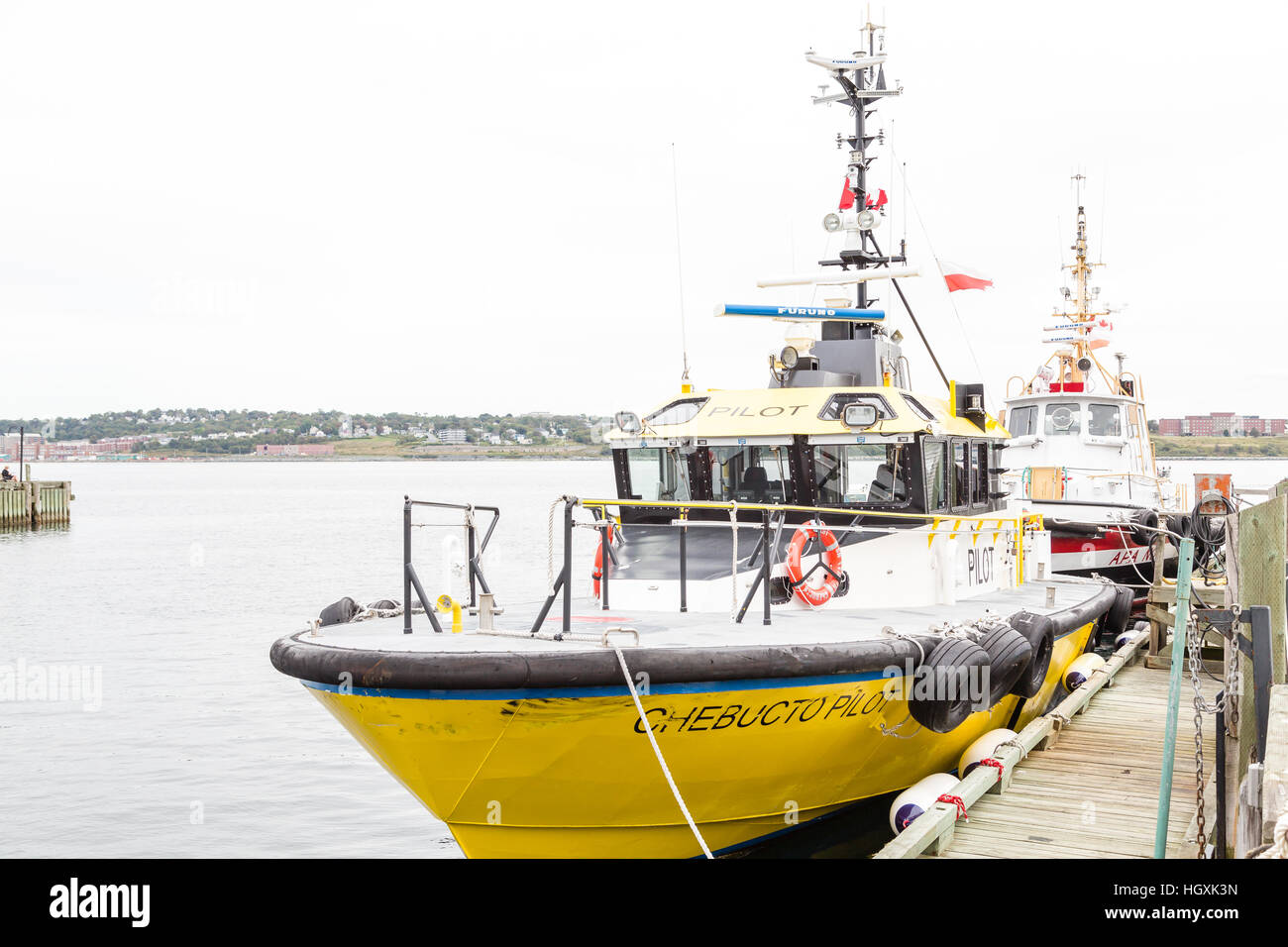 A yellow pilot boat docked at a harbor in Halifax Stock Photo - Alamy
