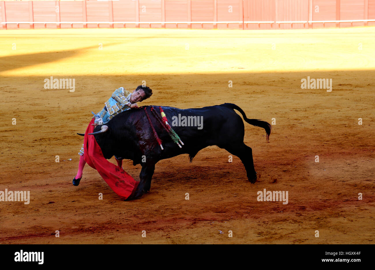 Bullfighting in Spanish Arena Stock Photo - Alamy