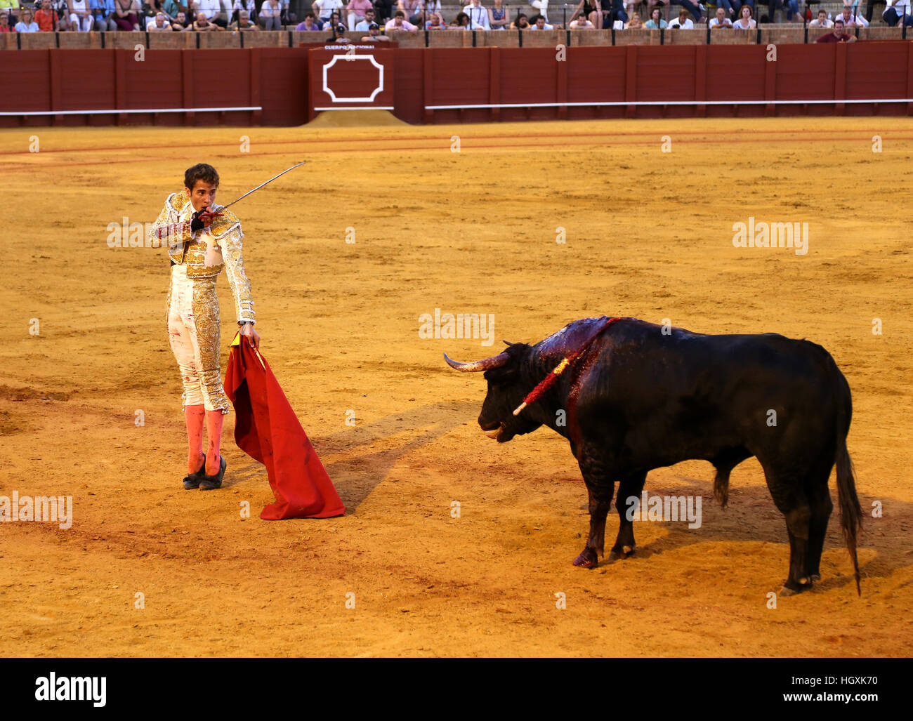 Bullfighting in Spanish Arena Stock Photo - Alamy