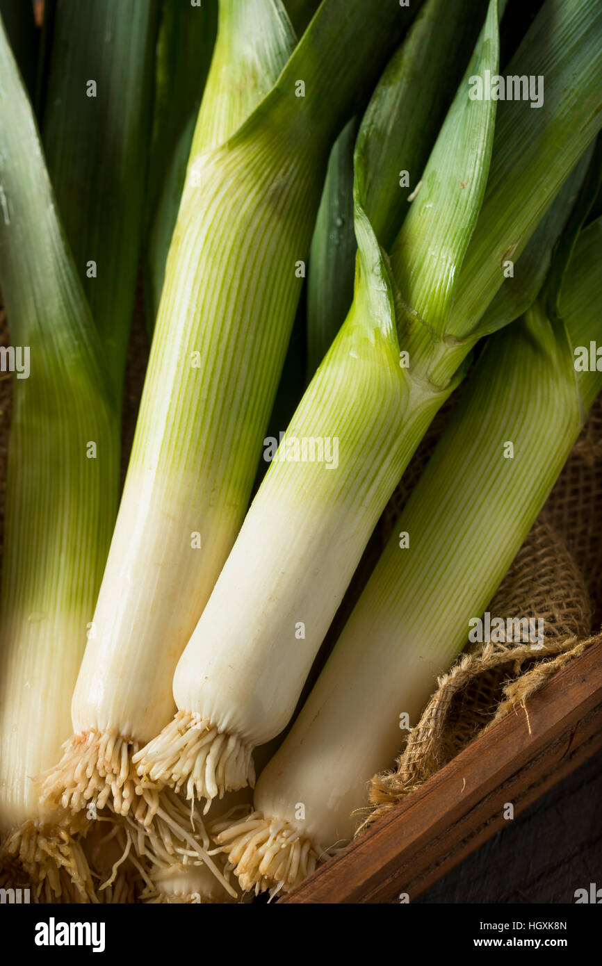 Raw Green Organic Leeks Ready to Chop Stock Photo - Alamy