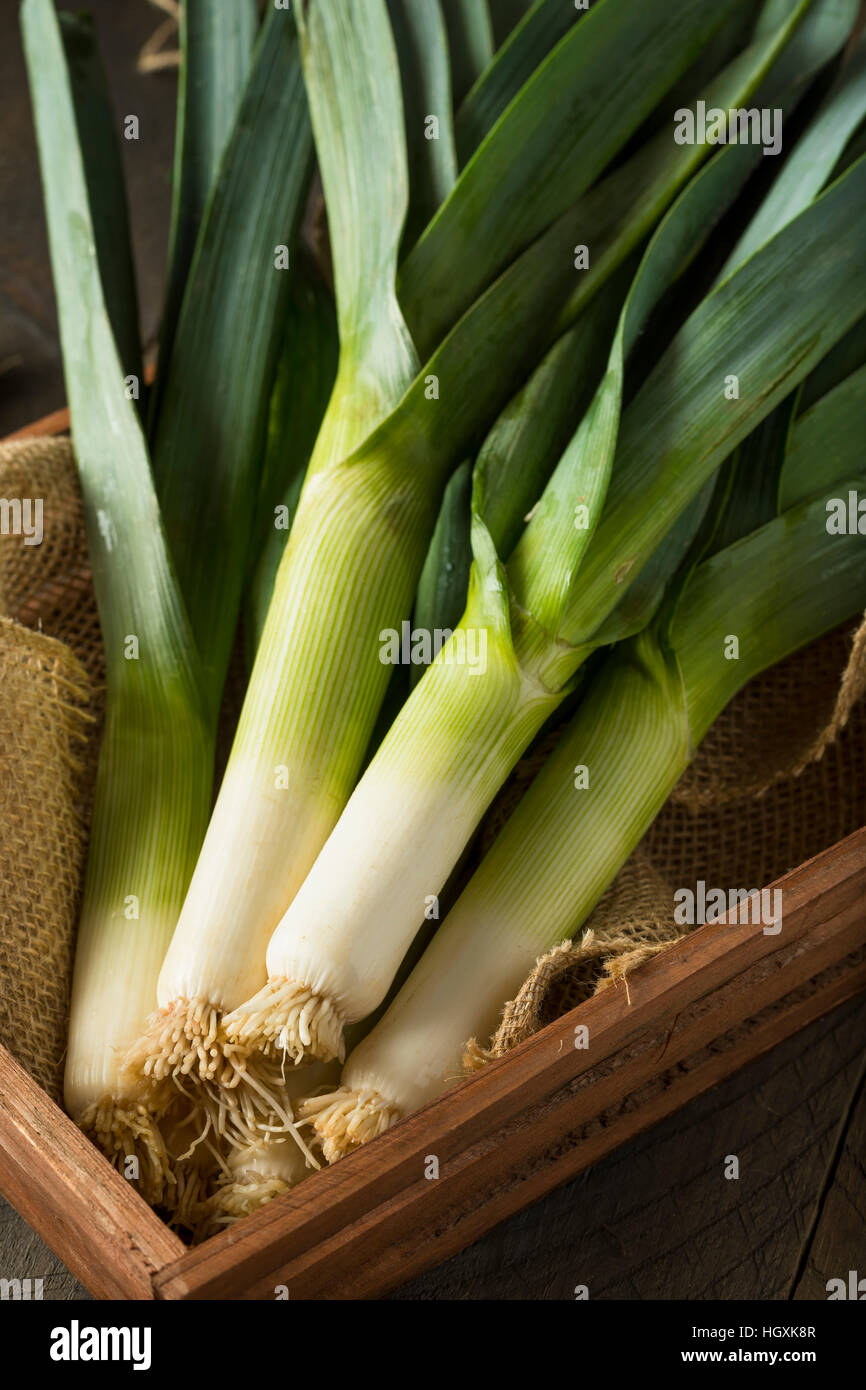 Vegetables onion leeks hi-res stock photography and images - Alamy