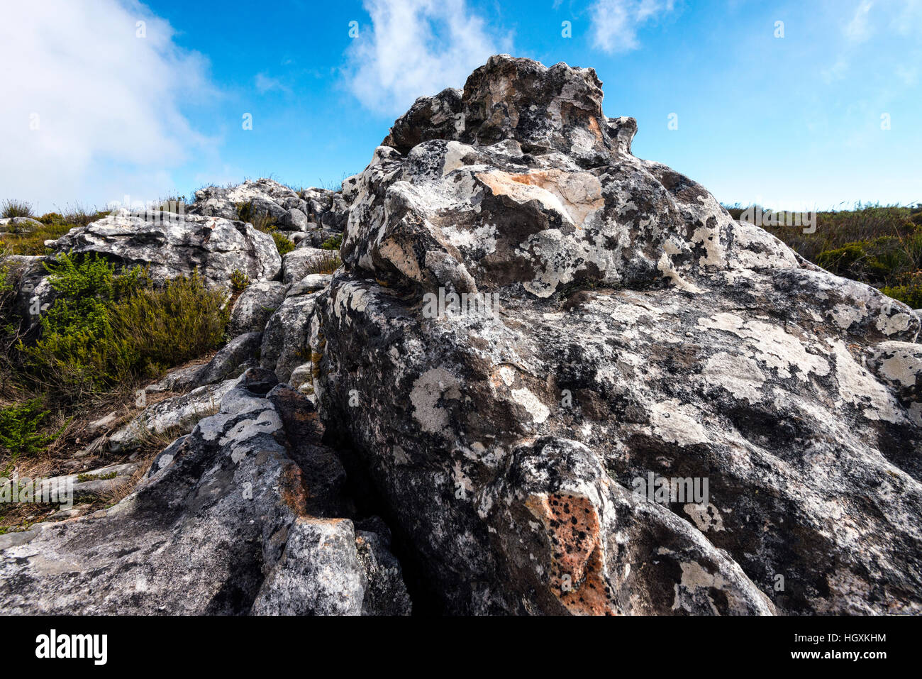 Lichen encrusted boulders on the summit of Table Mountain Stock Photo ...