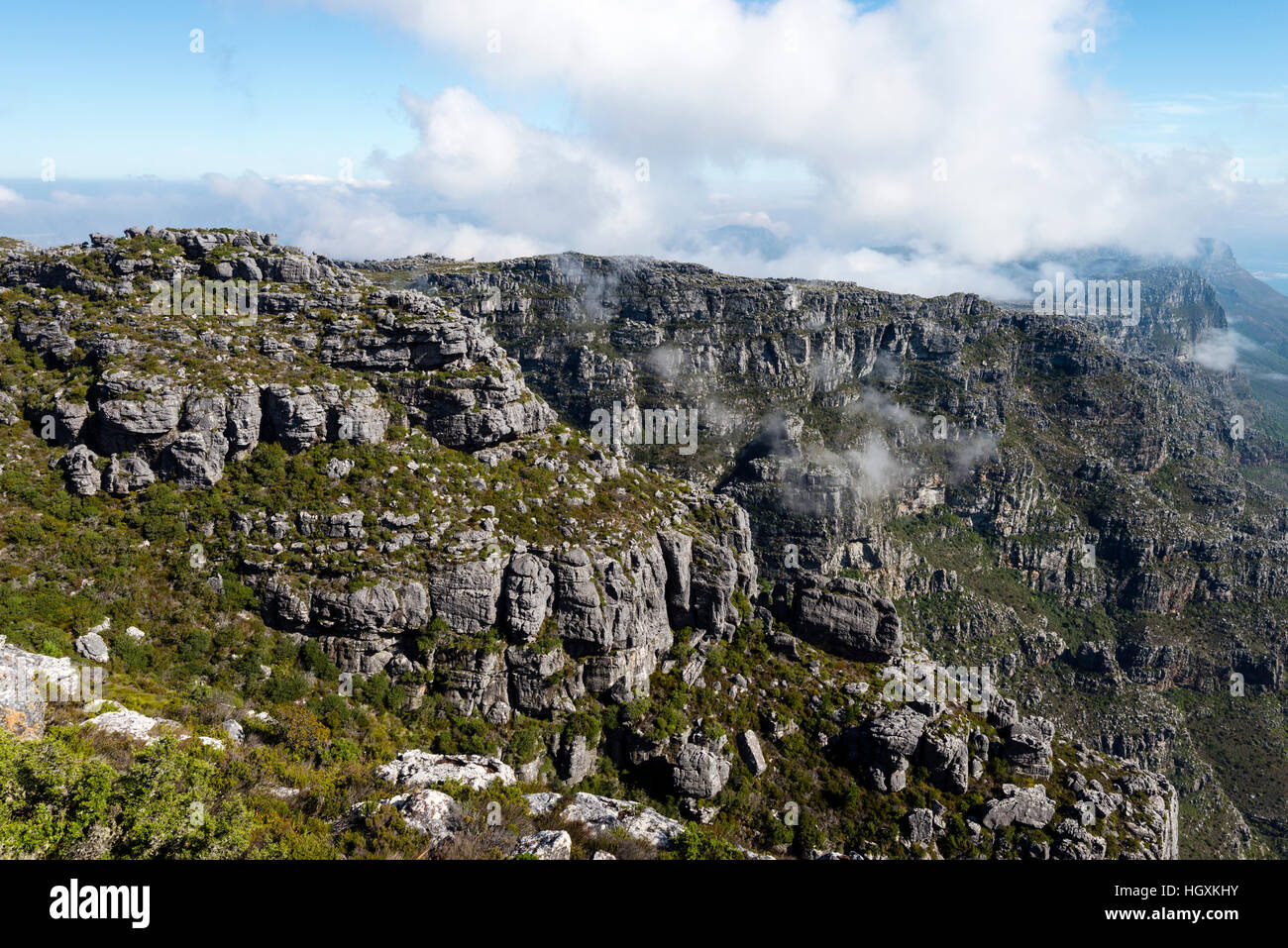 Fynbos heritage hi-res stock photography and images - Alamy