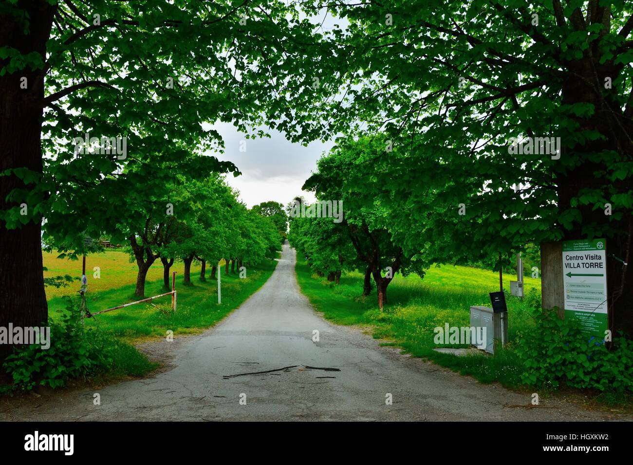 One of the most beautiful roads full of trees Stock Photo - Alamy