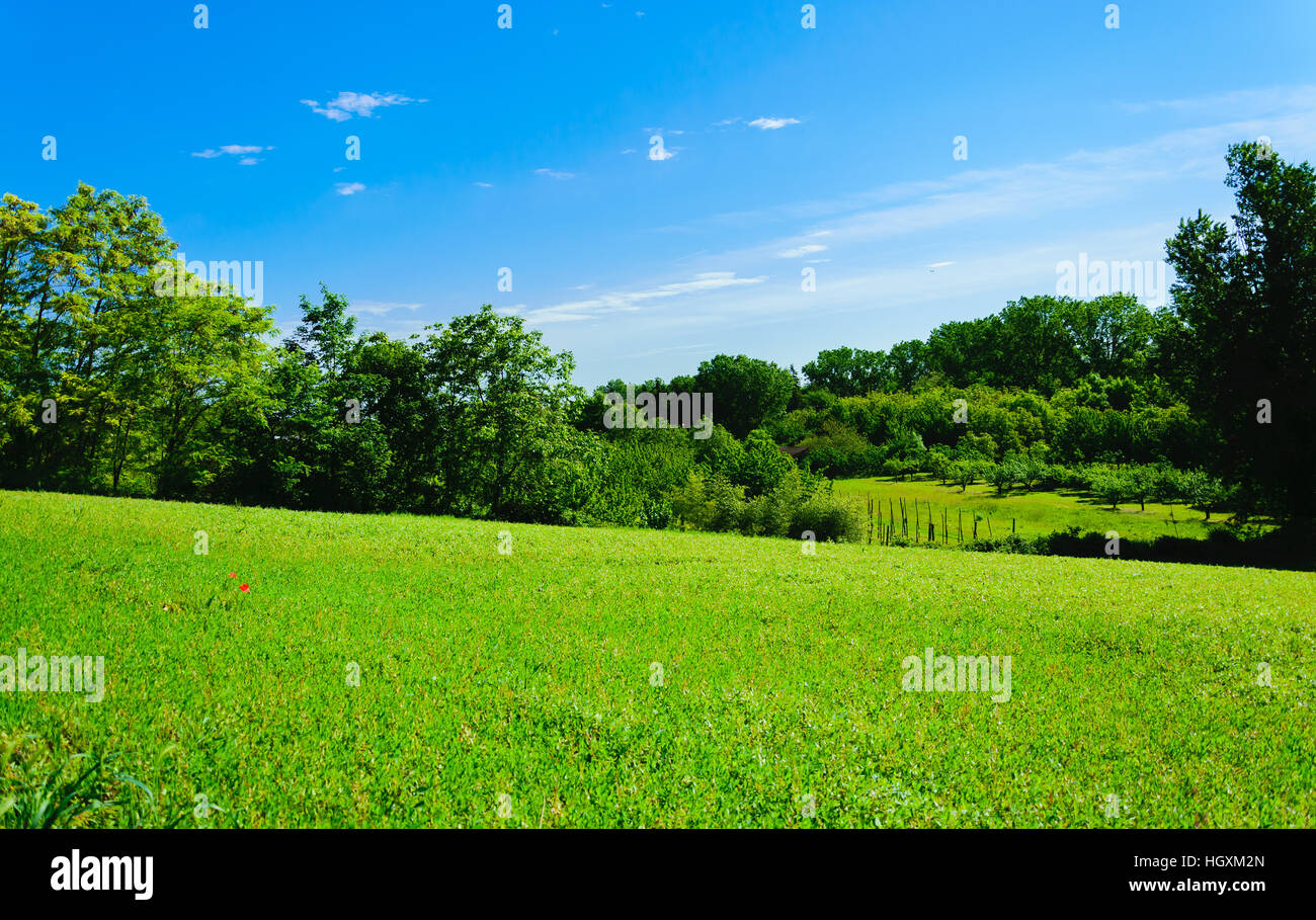 A landscape of greenery with sky Stock Photo - Alamy