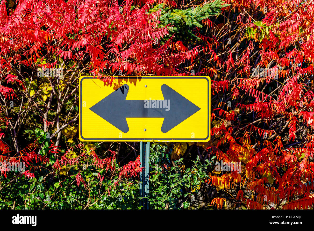 Road sign showing two directions with colorful fall trees Stock Photo ...