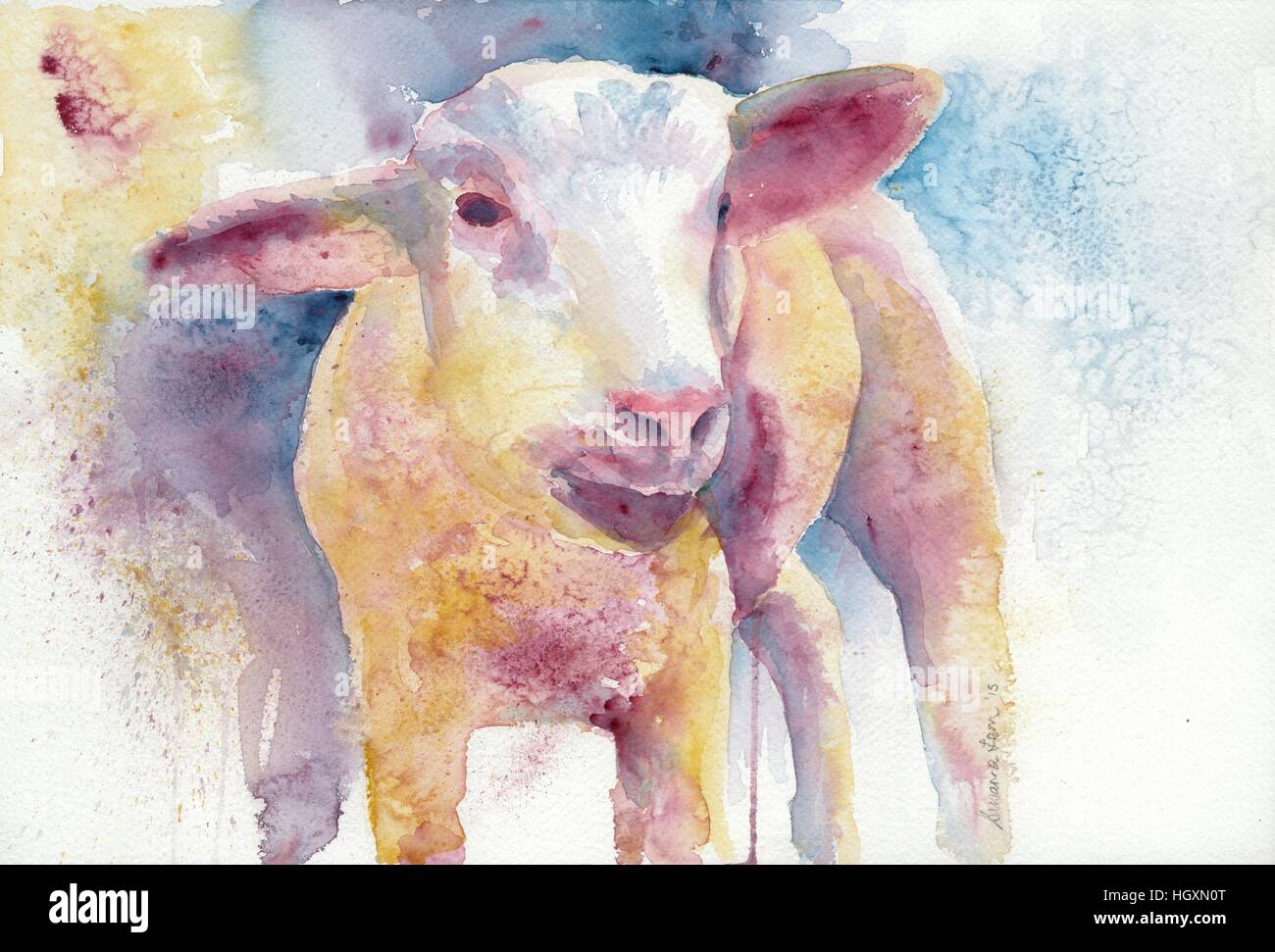 Sheep painting hi-res stock photography and images - Alamy