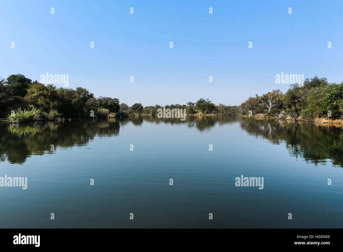 Natural symmetry hi-res stock photography and images - Alamy