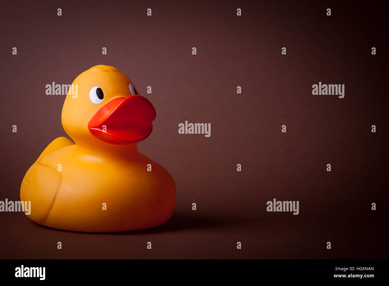 Quackers hi-res stock photography and images - Alamy