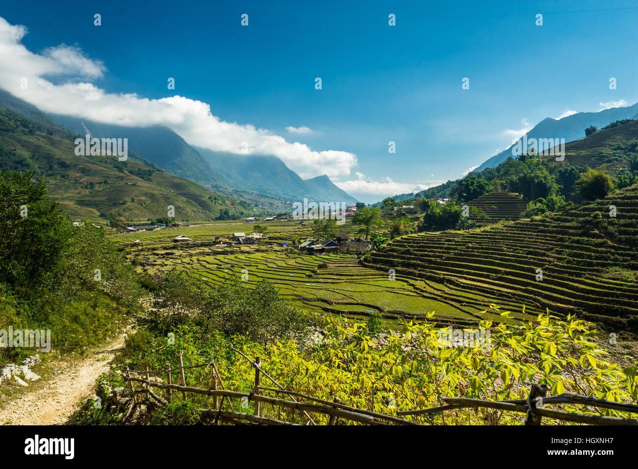 Mountain view over the famous rice terraces near Sapa, Vietnam. Idyllic ...