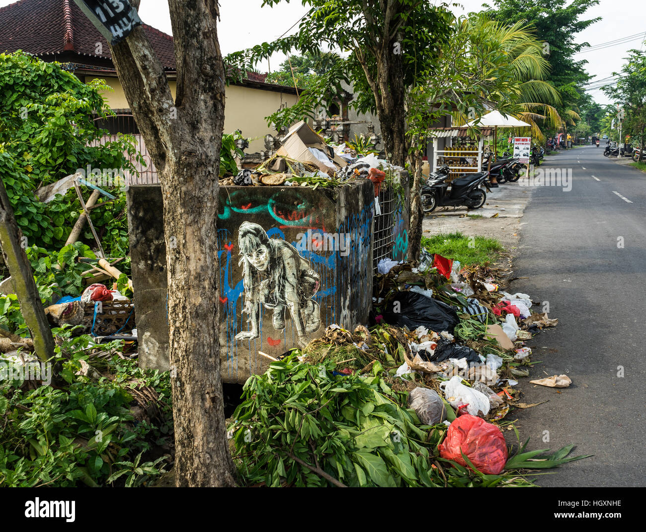 Street art on a trashy road side in Canggu, Bali, Indonesia. Trash is a ...